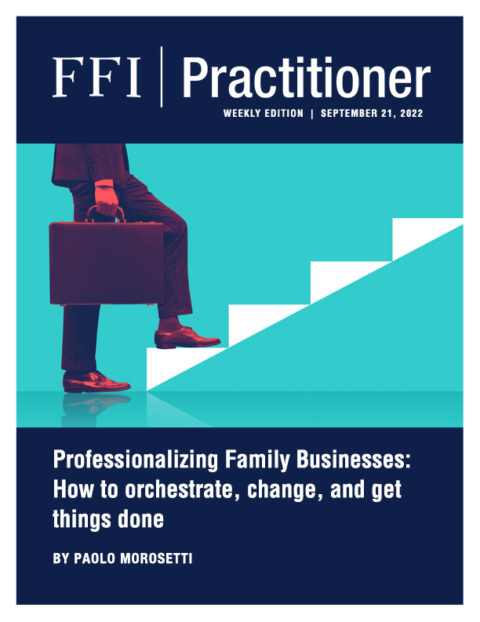 Professionalizing Family Businesses: How to orchestrate, change, and ...