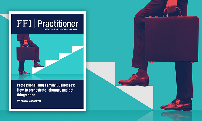 Professionalizing Family Businesses: How to orchestrate, change, and ...